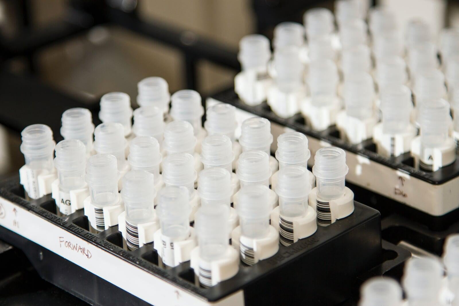 Does Fake Urine Work for Drug Tests? | Background Partners | Enterprise ...